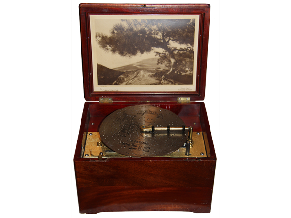 8 inch Regina Music Box